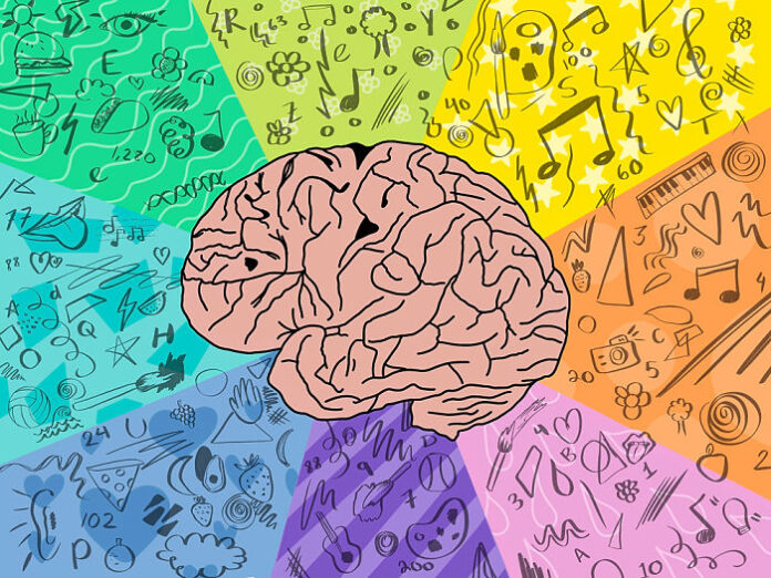 ¿Qué es la Sinestesia y qué Tipos Existen?