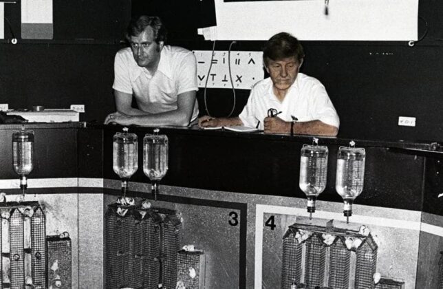 ¿Qué fue el Inquietante Experimento Universo 25?